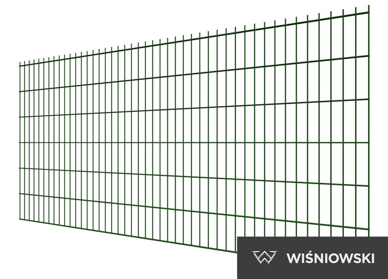 Panel Vega 2D H 123 cm RAL 6/5/6 mm RAL 6005 - Panele ogrodzeniowe 2D ...